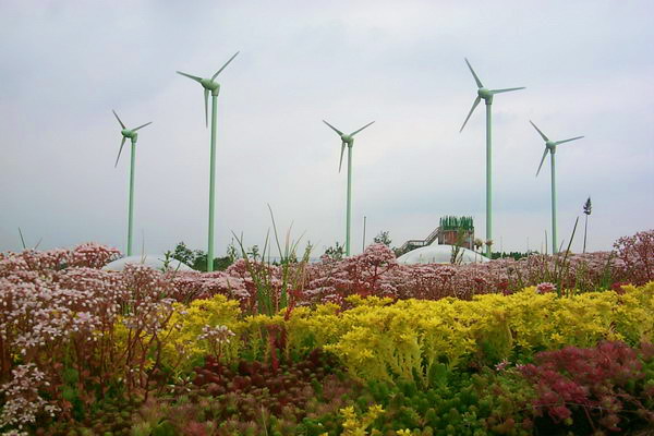 Sustainable Drainage | SuDS | Landscape Design | 2B