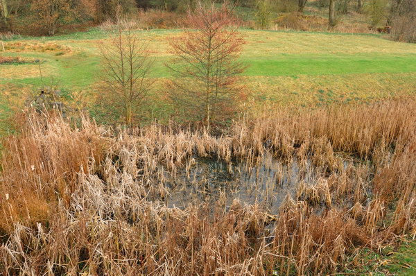 Sustainable Drainage | SuDS | Landscape Design | 2B