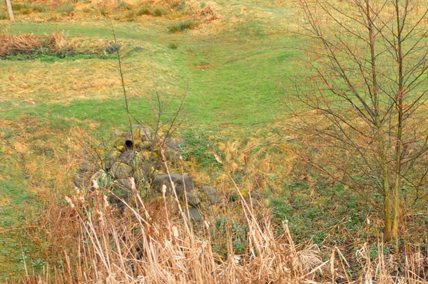 Sustainable Drainage | SuDS | Landscape Design | 2B